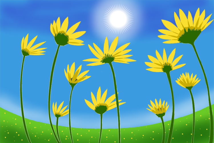 Plants And Animals Examples Of Sensitivity Images